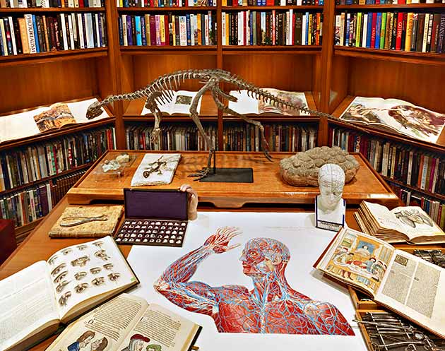 2008 – Page 18 – SheWalksSoftly