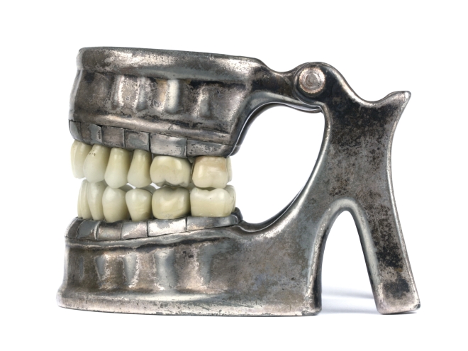 Antique Dental Model – SheWalksSoftly