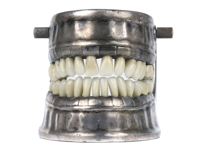 Antique Dental Model – SheWalksSoftly
