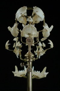 Ryan Matthew: Exploded Skulls – SheWalksSoftly
