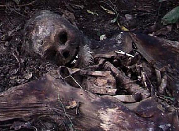 The North Knoxville Body Farm – SheWalksSoftly