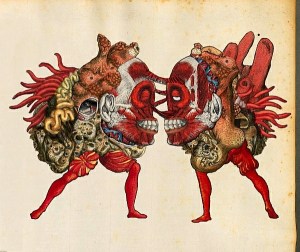 John Clowder – SheWalksSoftly