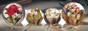 Hafod Grange Botanical Paperweights – SheWalksSoftly