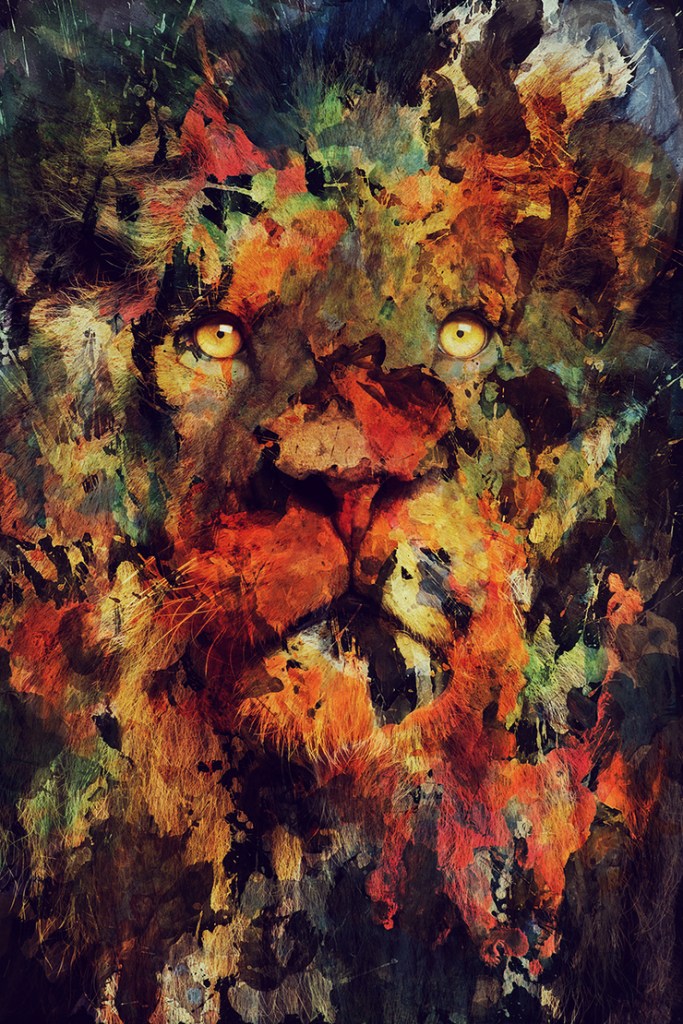 Andreas Lie – SheWalksSoftly