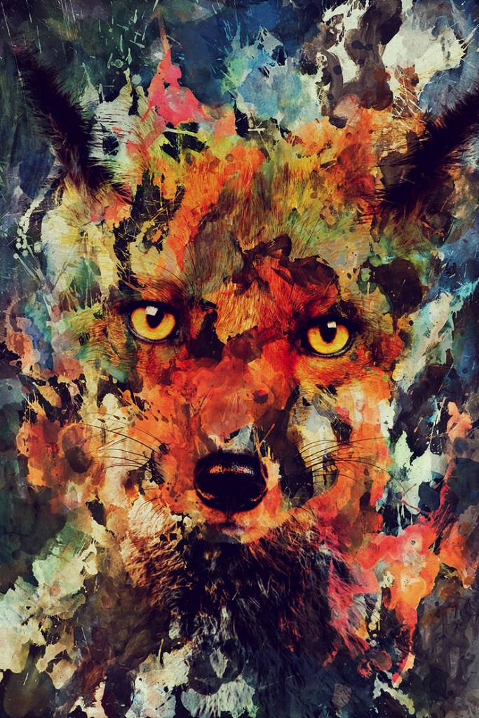 Andreas Lie – SheWalksSoftly