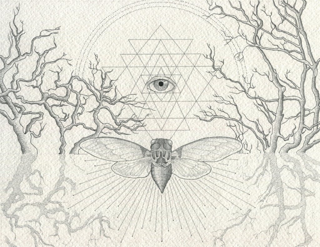 SheWalksSoftly – Page 3